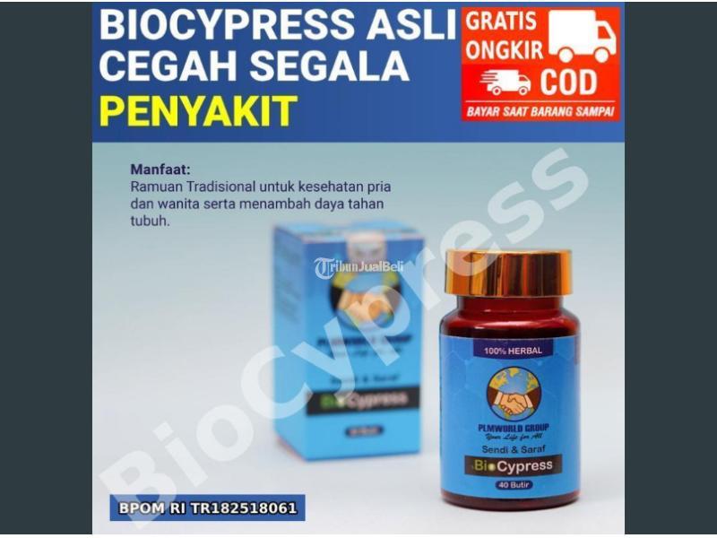 Biocypress Original Isi 40 Butir, Solusi Obat Herbal Stroke, Asam Urat ...