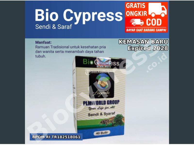 Biocypress Original Isi 40 Butir, Solusi Obat Herbal Stroke, Asam Urat ...