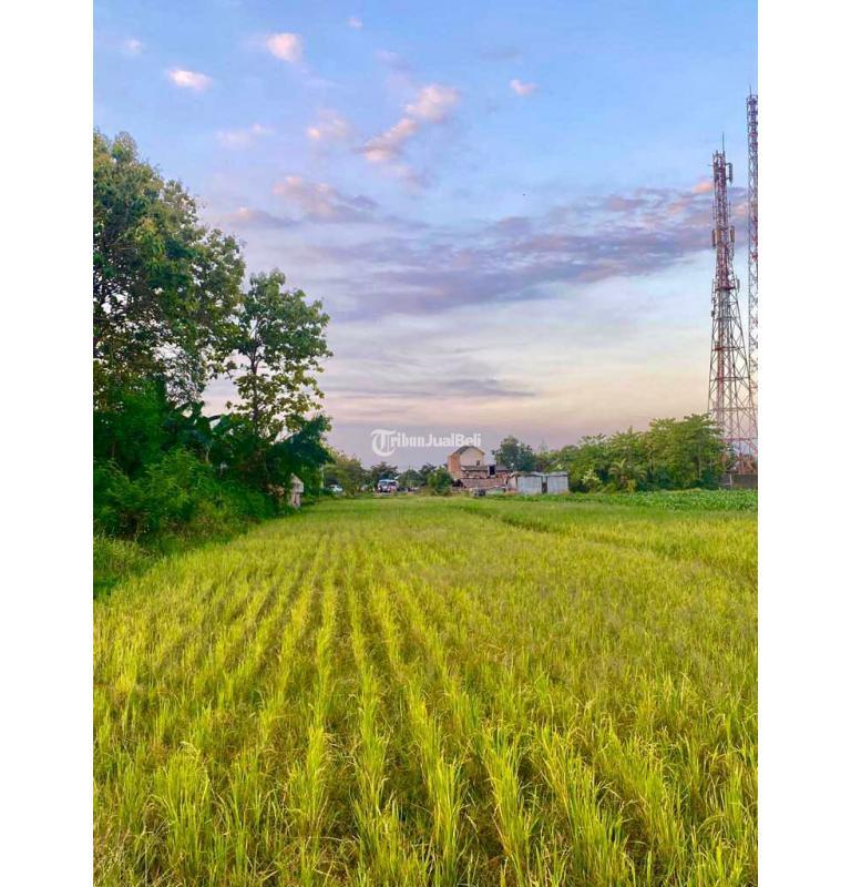 Dijual Sawah 1156 Tepi Jalan Raya Solo Jogja Cocok Buat Gudang di Solo ...