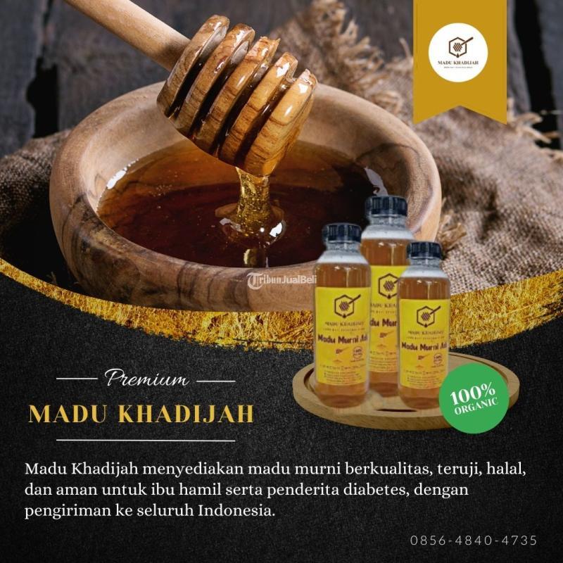 Outlet Madu Asli Madu Hutan Meningkatkan Daya Tahan Tubuh di Badung - Tribun JualBeli