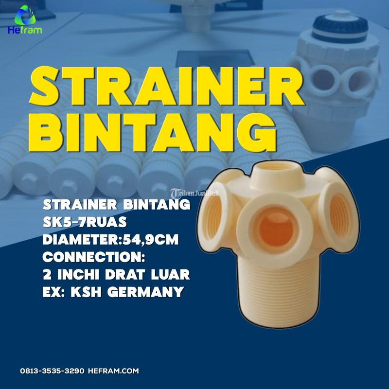 Strainer Bintang 5di7 Ruas KSH di Bogor - Tribun JualBeli