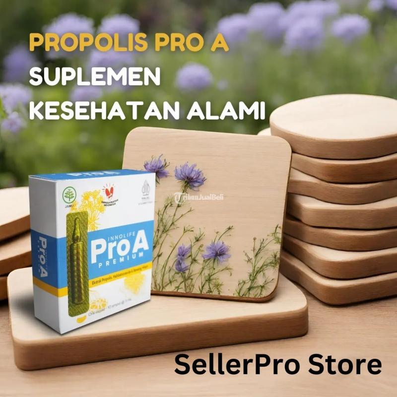 Propolis Pro A Premium untuk Melancarkan Peredaran Darah di Surabaya ...