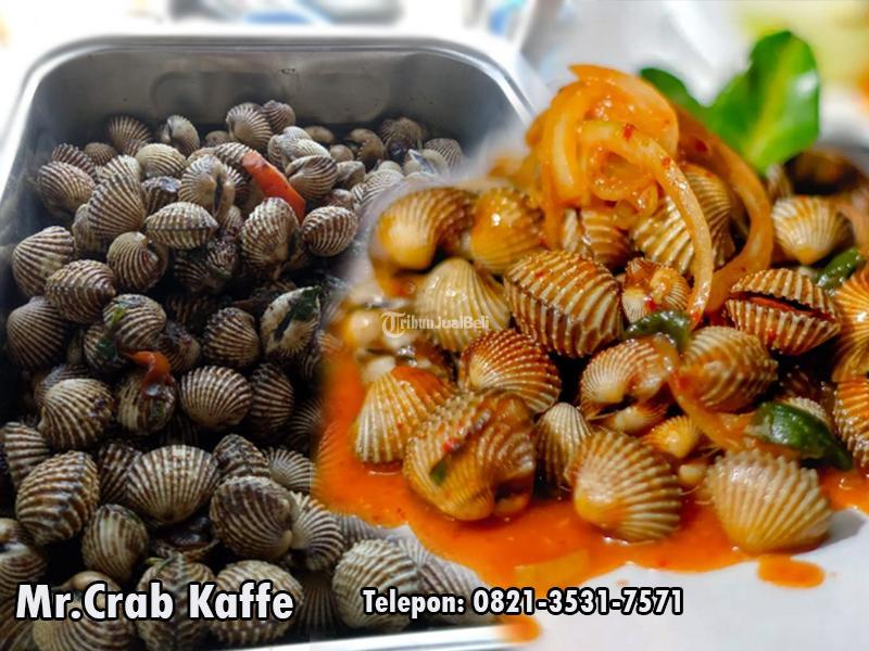 Kerang Dara dan Batik Saus Mr Crab di Jepara Jawa Tengah - Tribun JualBeli