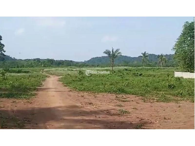 Jual Tanah Luas 14 Ha View Gunung di Lokasi Strategis Cilowong Taktakan ...