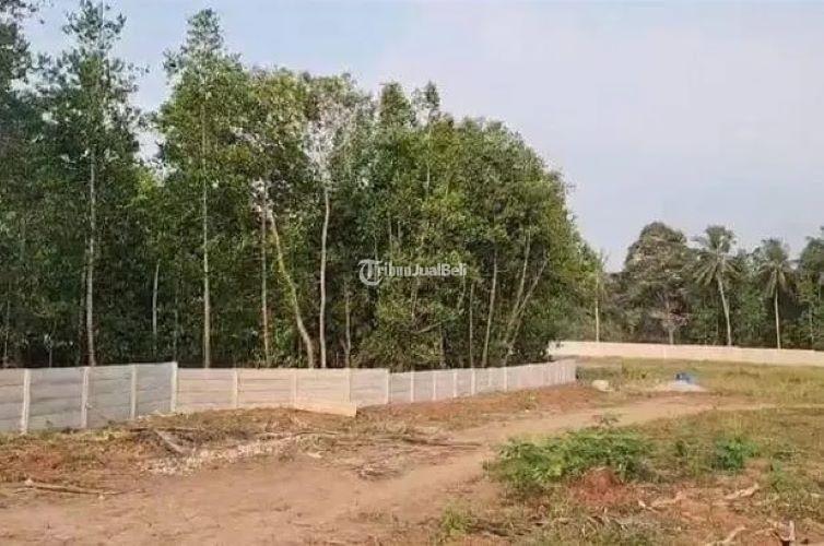Jual Tanah Luas 14 Ha View Gunung di Lokasi Strategis Cilowong Taktakan ...