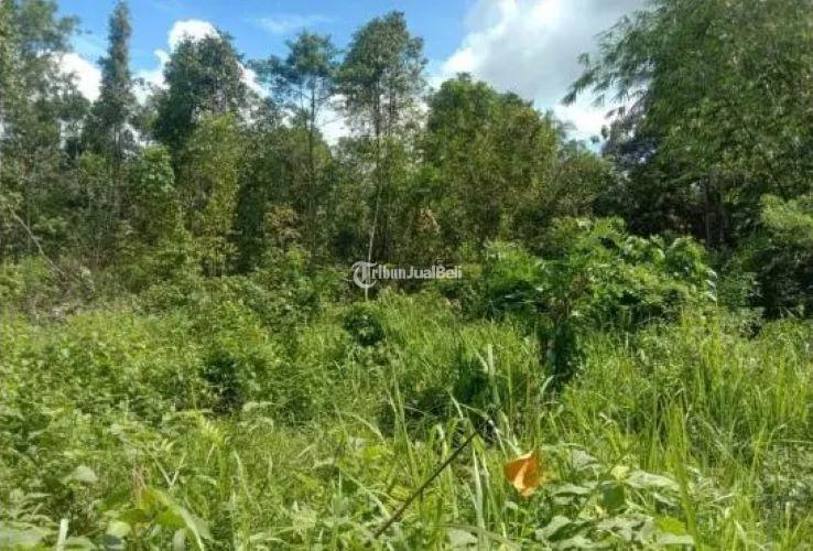 Jual Tanah Luas 14 Ha View Gunung di Lokasi Strategis Cilowong Taktakan ...