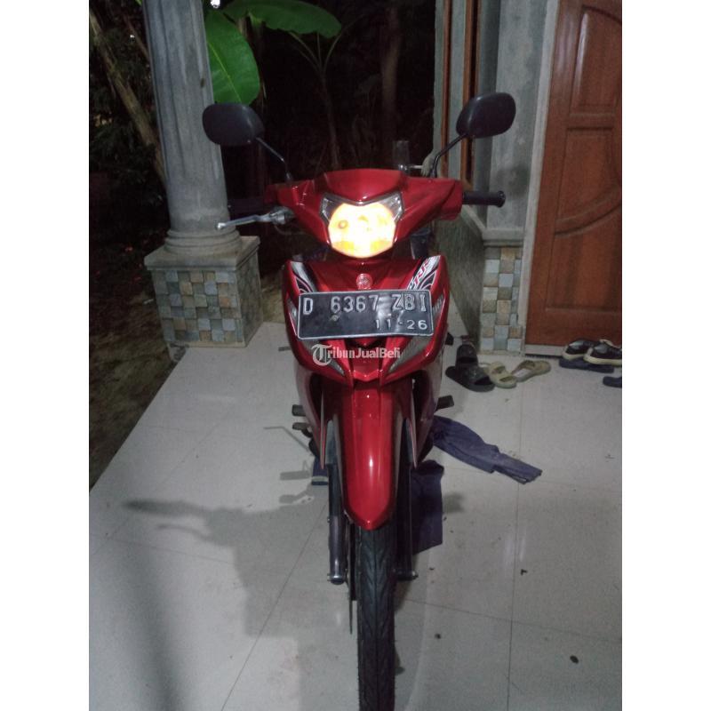 Yamaha Vega Rr 2024
