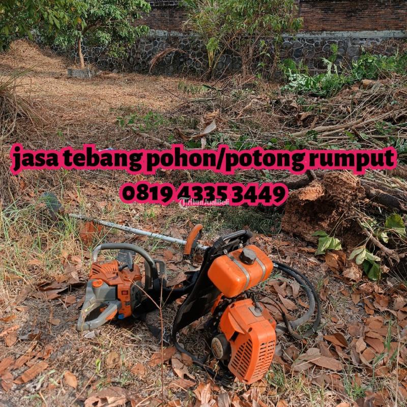 Jasa Tebang Pohon Wilayah Jogja Tarif Sesuai Skala dan Medan Lokasi di ...