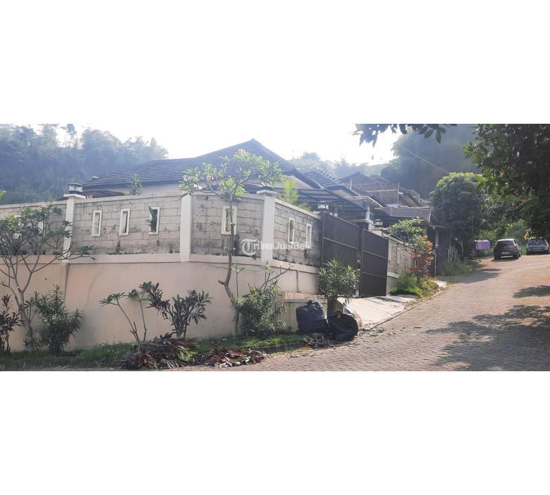 EDY SUNTARA- Tribun JualBeli