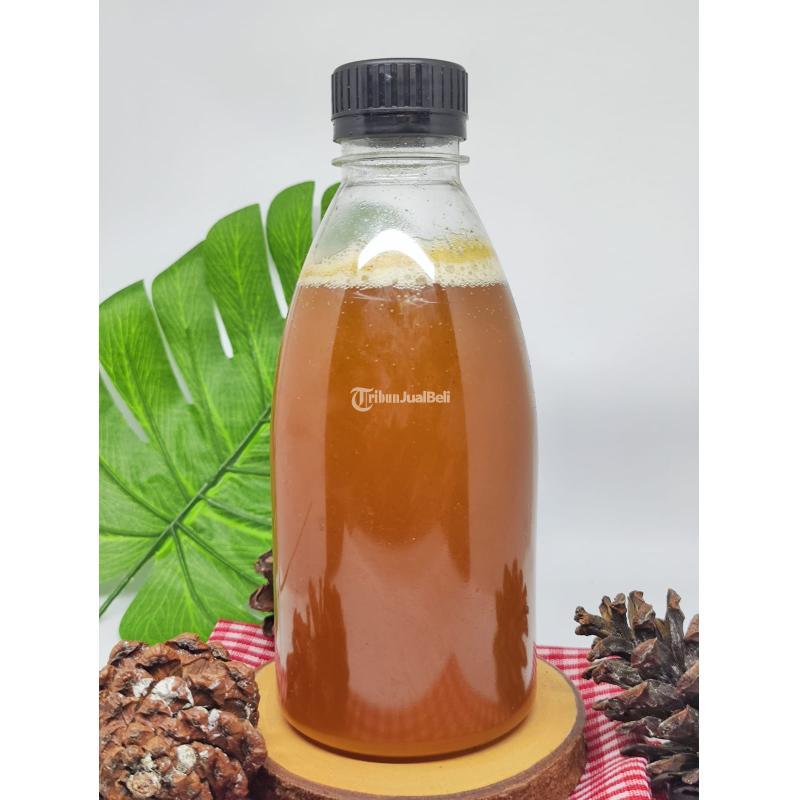 Supplier Madu Asli Murni Ternak dan Hutan Terbaik Terdekat Kuningan di ...