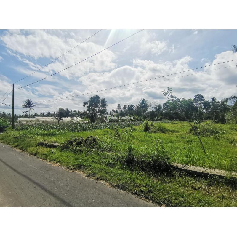 Dijual Sawah Luas Hanya 300 Meter Ke Jalan Raya Pakem Turi di Sleman ...