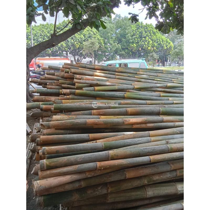 Bambu Steger Panjang 6 meter di Bandung Kota Jawa Barat - Tribun JualBeli