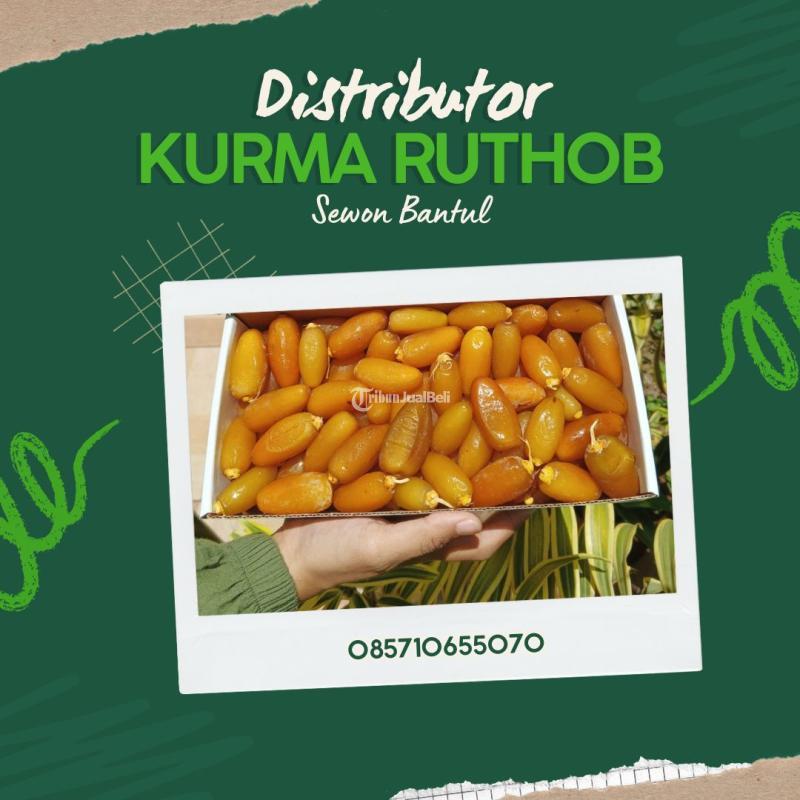 Distributor Kurma Ruthob Sewon di Bantul Yogyakarta - Tribun JualBeli