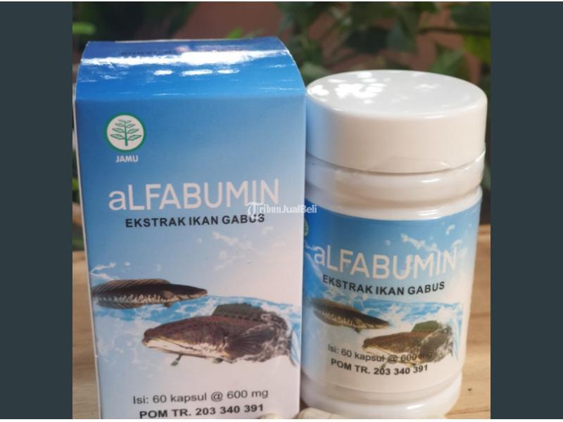 Kapsul Eksttak Ikan Gabus Sudah BPOM di Jakarta Utara - Tribun JualBeli