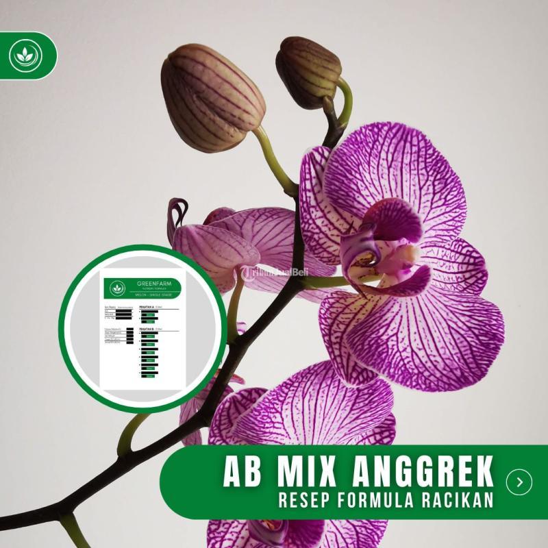Resep AB Mix Anggrek Formula Racikan Nutrisi Pupuk Bunga Anggrek di ...