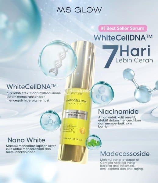 Ms Glow White Cell DNA Serum 15 mL Formula Nanoencapsulation di ...