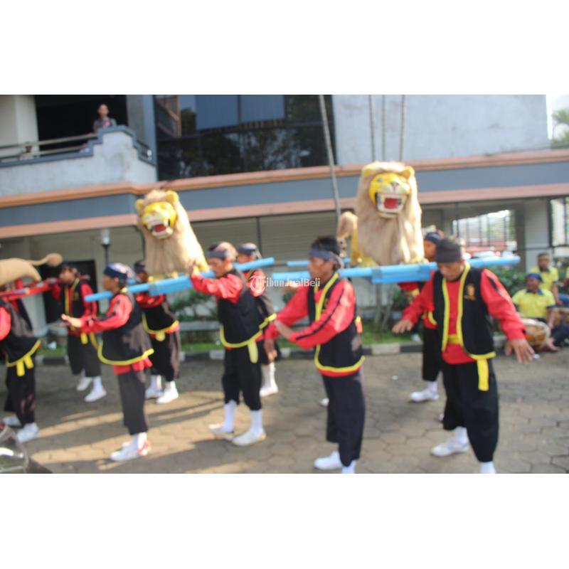 Sanggar Sisingaan Dul Gani Bisa untuk Acara Dalam dan Luar Kota di Bandung Jawa Barat - Tribun ...