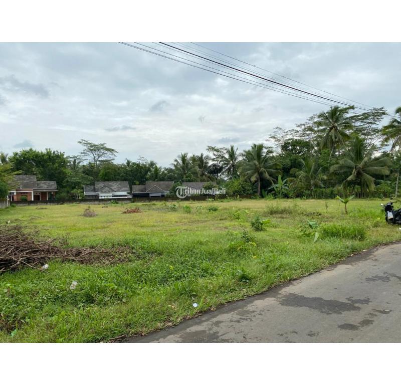 Jual Tanah Kavling Luas 109m2 SHM Tepi Jalan Raya Di Borobudur di Magelang Jawa Tengah - Tribun ...