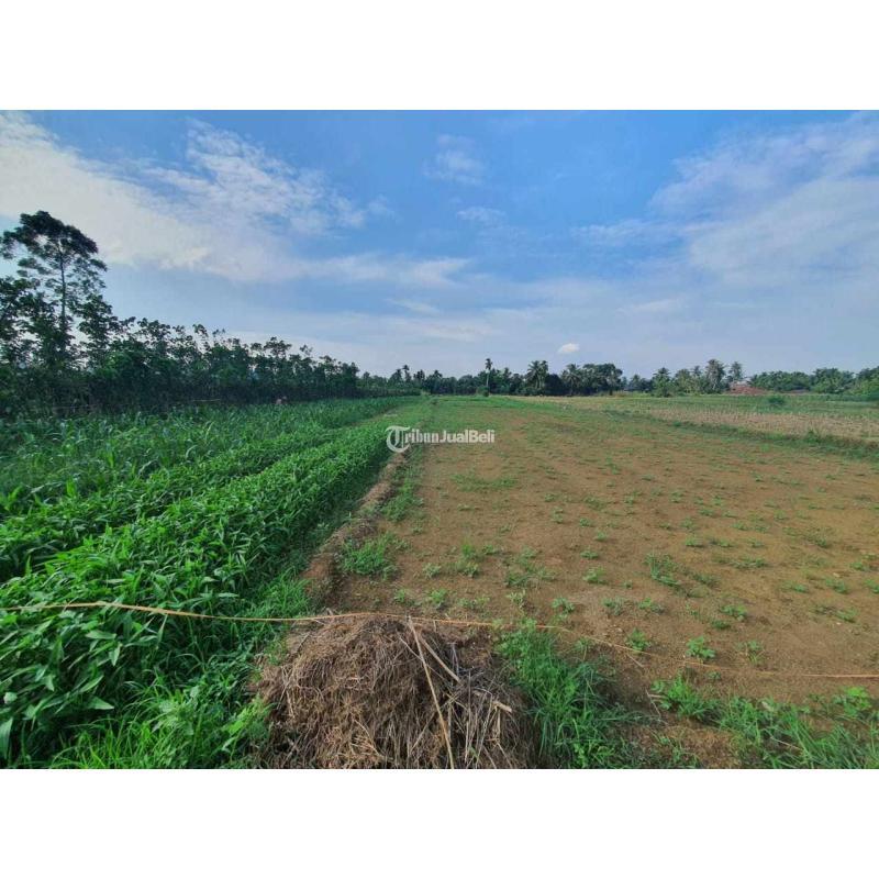 Jual Tanah Datar Luas 4658 m2 di Daerah jati kesuma Desa Jaba di Deli ... Jual Tanah Datar Luas 4658 m2 di Daerah jati kesuma Desa Jaba di Deli ...