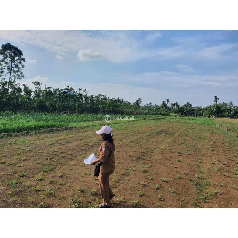 Jual Tanah Datar Luas 4658 m2 di Daerah jati kesuma Desa Jaba di Deli ... Jual Tanah Datar Luas 4658 m2 di Daerah jati kesuma Desa Jaba di Deli ...