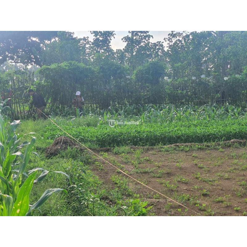 Jual Tanah Datar Luas 4658 m2 di Daerah jati kesuma Desa Jaba di Deli ... Jual Tanah Datar Luas 4658 m2 di Daerah jati kesuma Desa Jaba di Deli ...