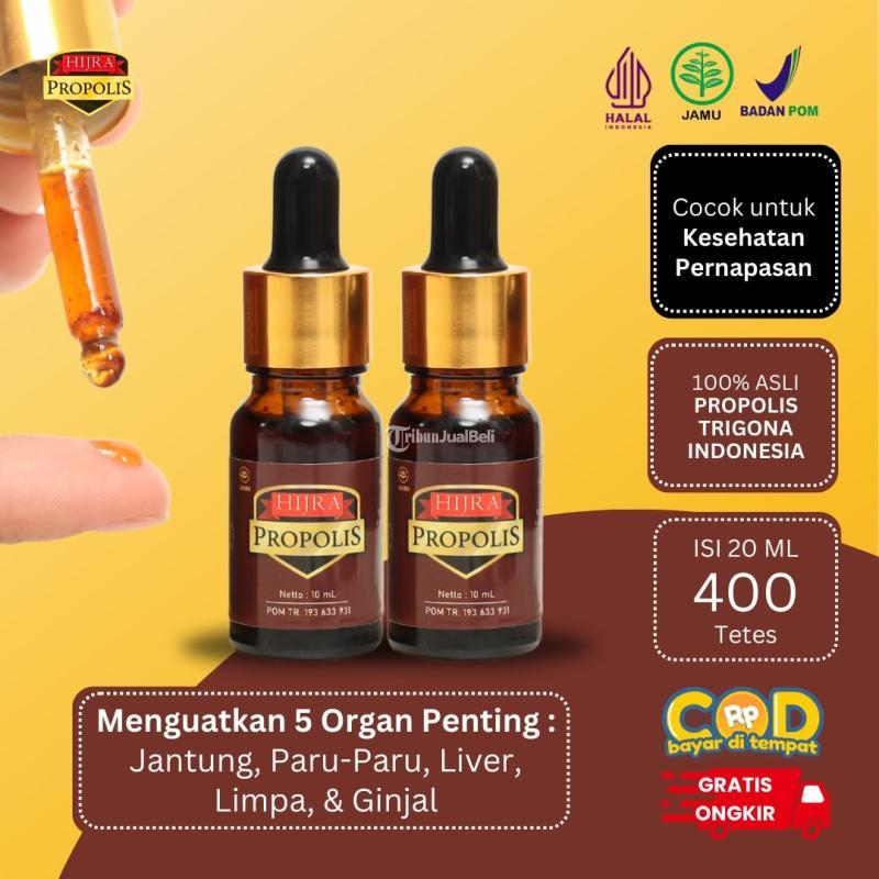 Paket 2 Botol Propolis Hijra Trigona 100 Original Atasi Batuk Menahun ...