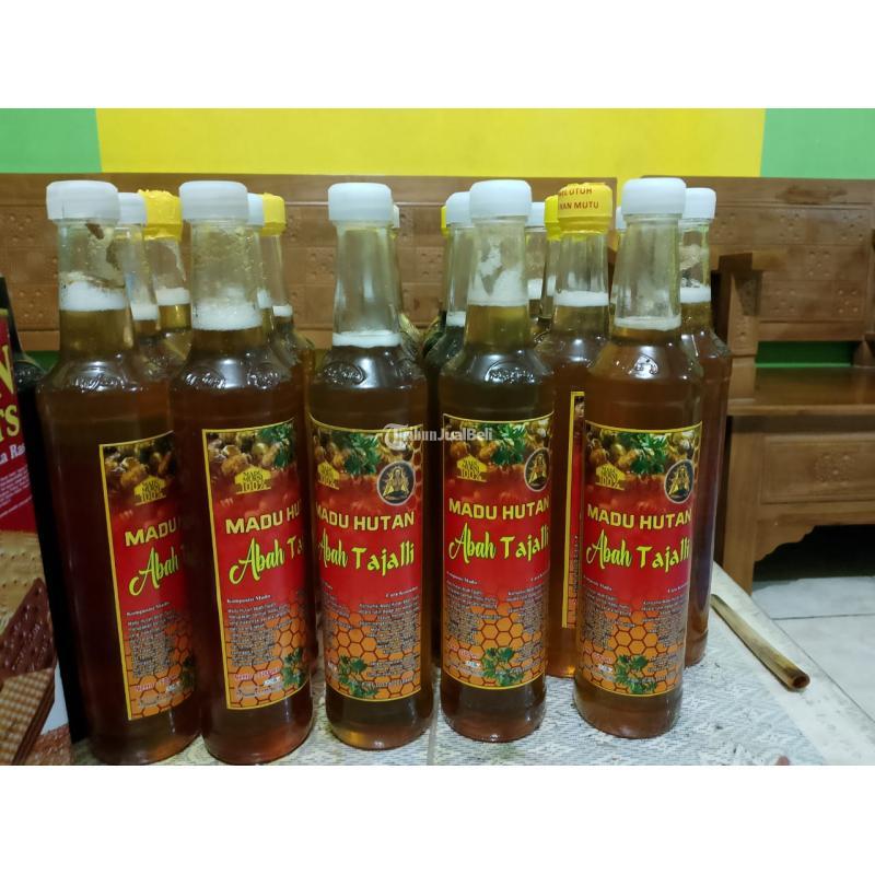 Madu Asli Tawon Gung Madu Lebah Hutan di Cilacap Jawa Tengah - Tribun ...