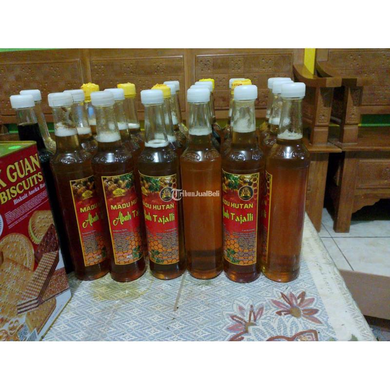 Madu Asli Tawon Gung Madu Lebah Hutan di Cilacap Jawa Tengah - Tribun ...