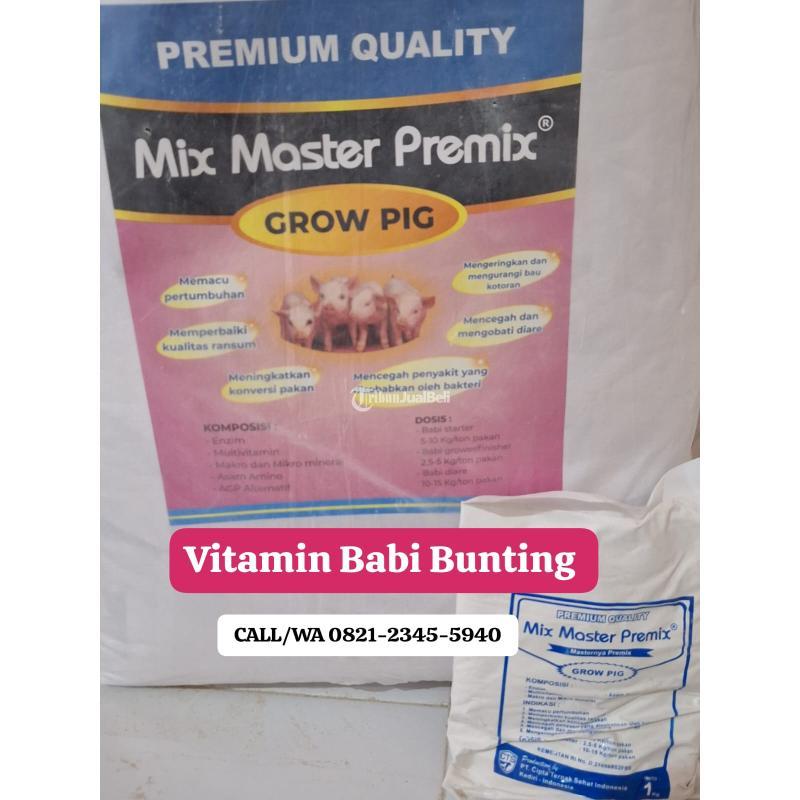 Premix Pakan Babi Penggemukan di Kediri Kota Jawa Timur - Tribun JualBeli