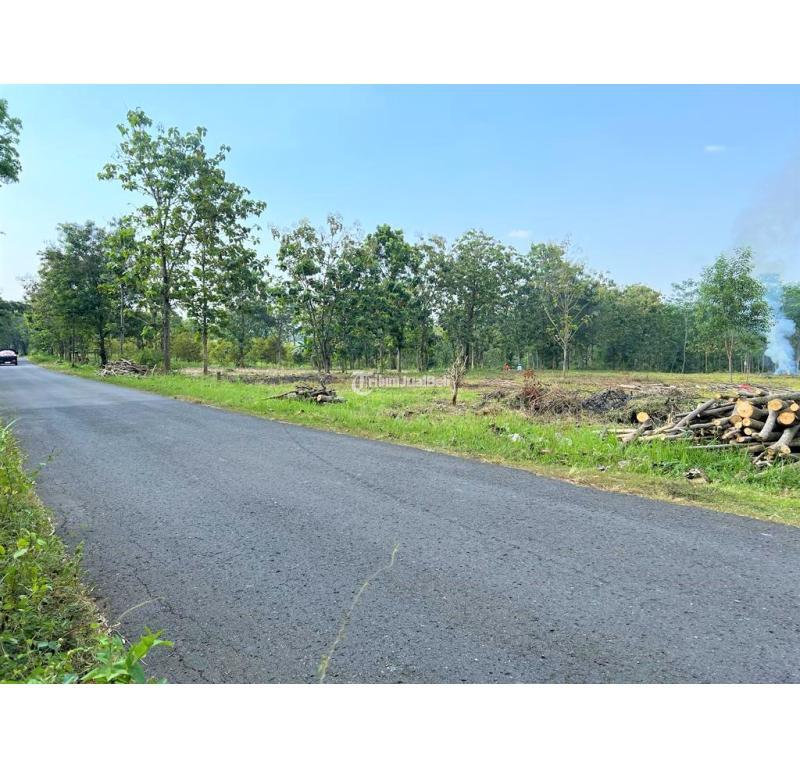 Jual Tanah 3000m2 Tepi Jalan Raya Kerjo di Karanganyar Jawa Tengah ...