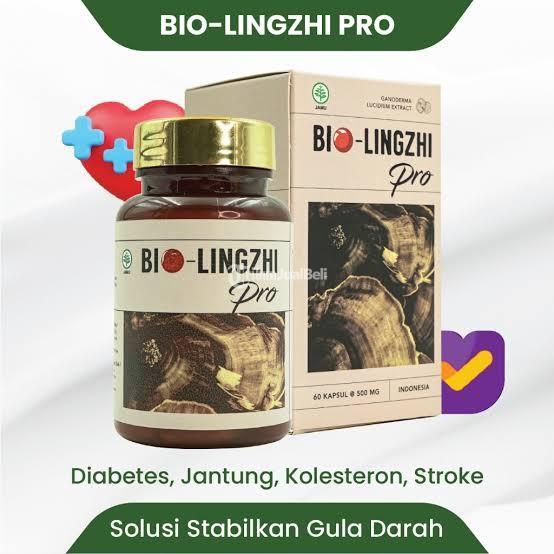 Bio Lingzhi Pro Original Obat Herbal Mengatasi Keluhan Gejala Penyakit ...