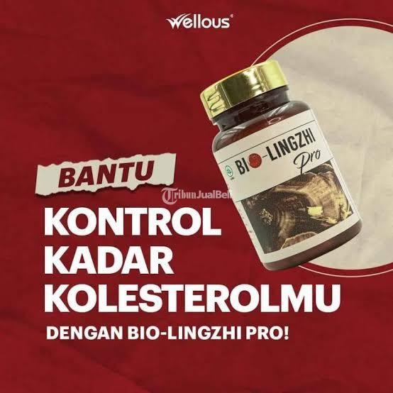 Bio Lingzhi Pro Original Obat Herbal Mengatasi Keluhan Gejala Penyakit ...