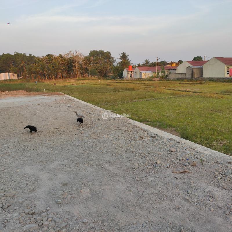 Jual Tanah Luas 120m2 SHM Pinggir Jalan Dekat Kampus Itera Bisa Kredit ...