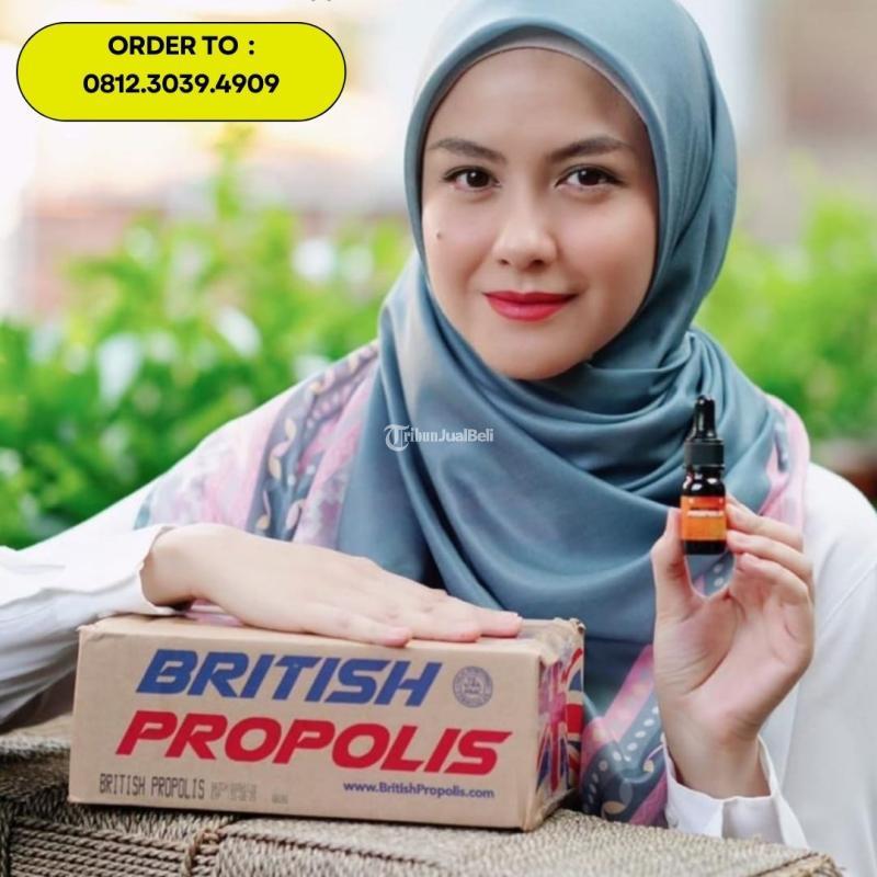 Obat Diabetes British Propolis di Surabaya Jawa Timur - Tribun JualBeli