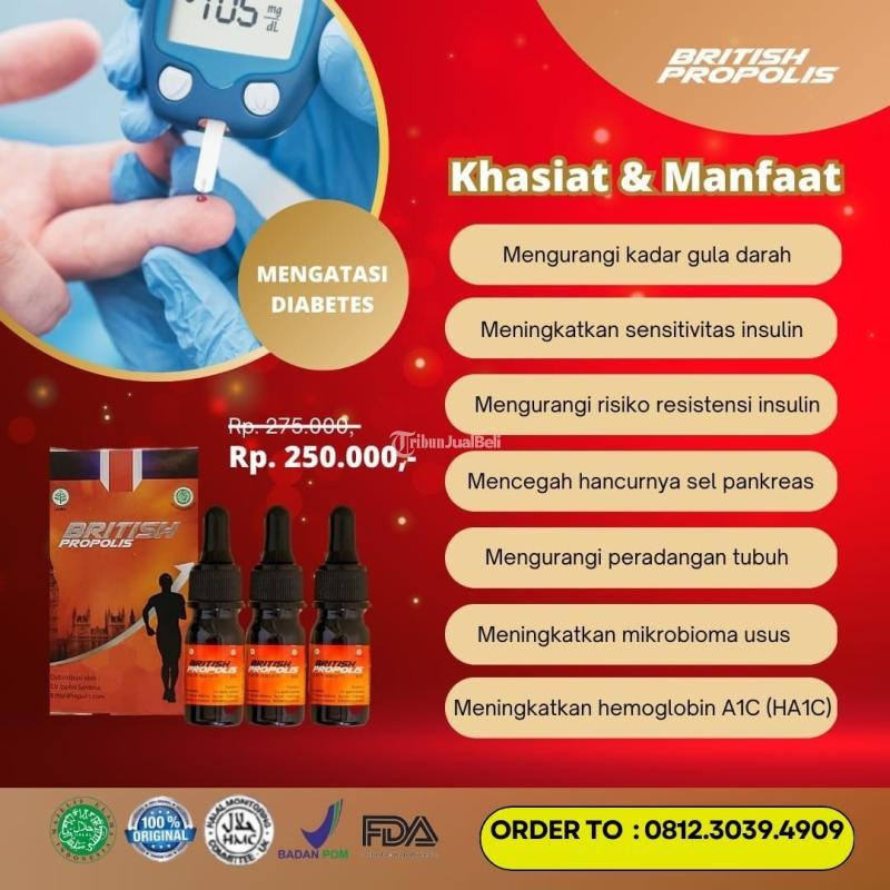 Obat Diabetes British Propolis Ready di Surabaya Jawa Timur - Tribun ...