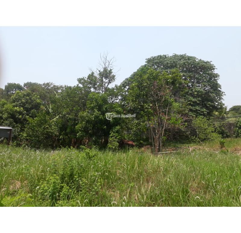 Dijual Lahan Tanah Komersial Luas 3115m2 SHM Nego Sampai Deal di ...