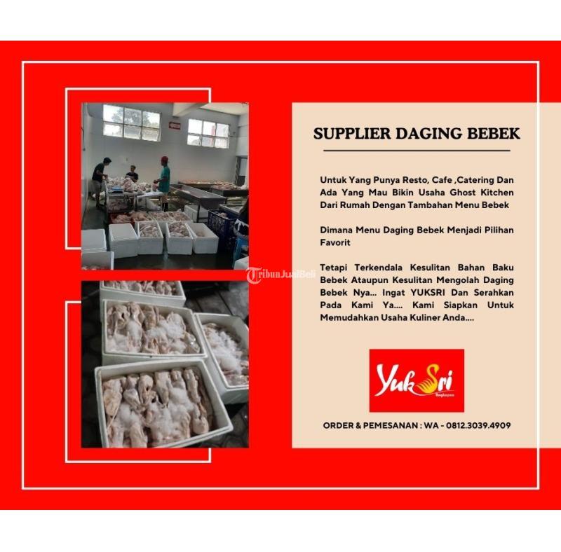 Supplier Bebek Peking Kebon Jeruk di Jakarta Barat - Tribun JualBeli