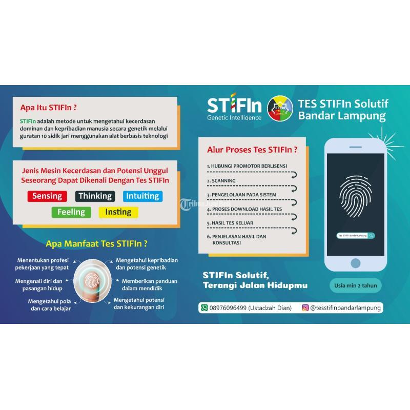 Tes STIFIn Memiliki Banyak Manfaat di Bandar Lampung - Tribun JualBeli