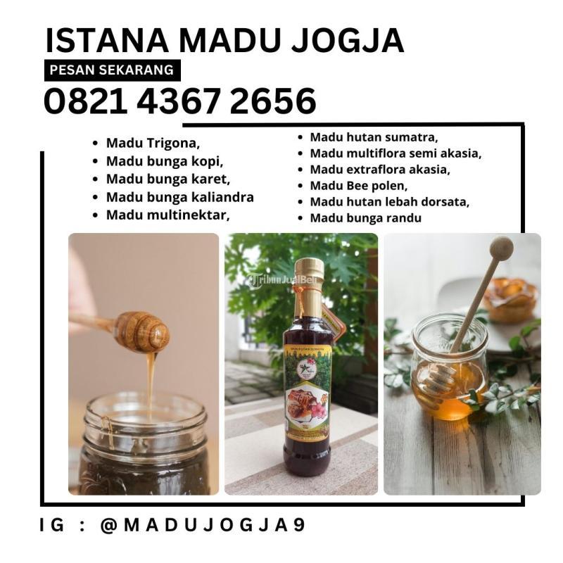 Madu Murni Harga Murah di Cilacap - Tribun JualBeli