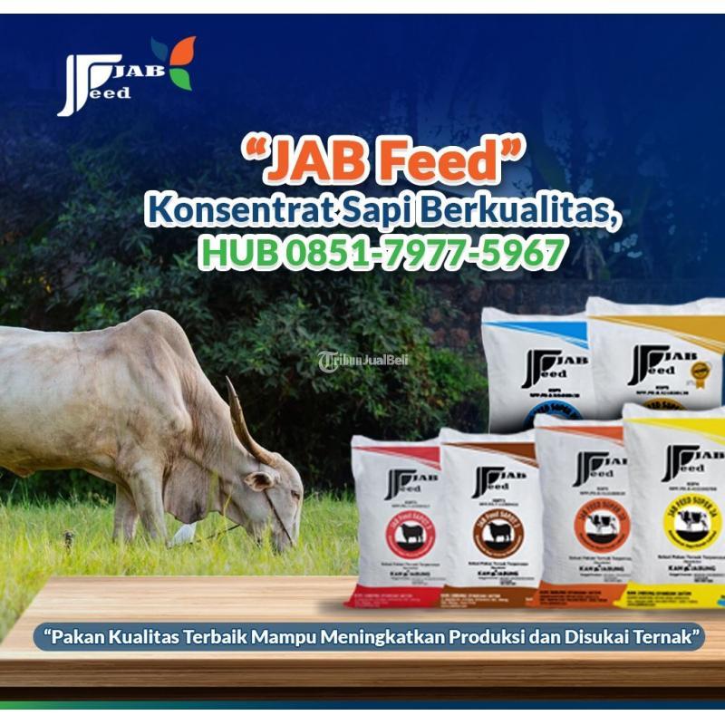 JAB Feed Konsentrat Sapi Perah dan Sapi Potong Berkualitas Tinggi di ...