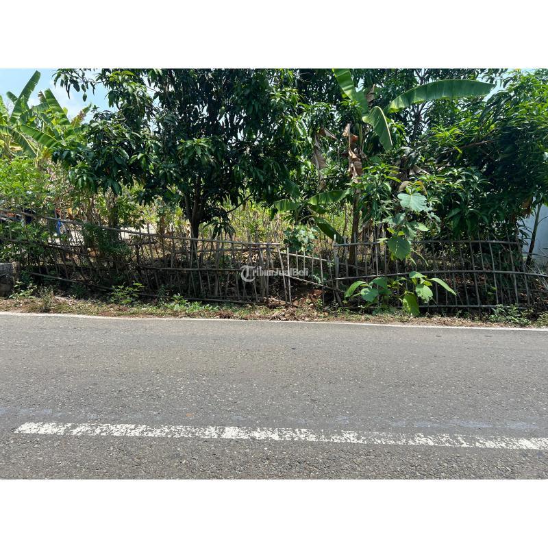 Dijual Tanah Luas 300m2 SHM Strategis Tepi Jalan Raya Kedawung di ...