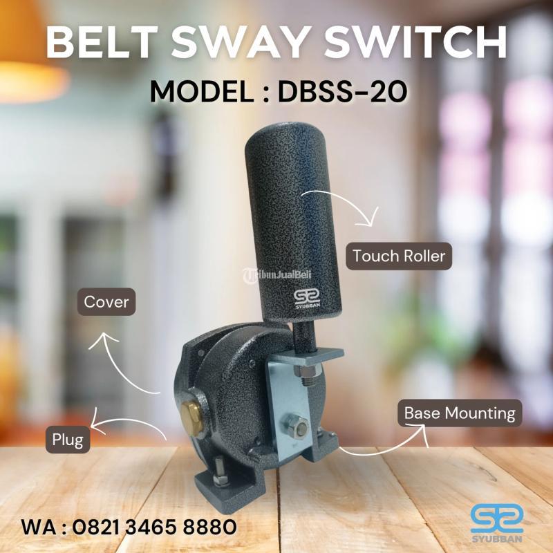 Supplier Belt Sway, Belt Misaligment, Belt Drift Switch DBSSdi20 ...