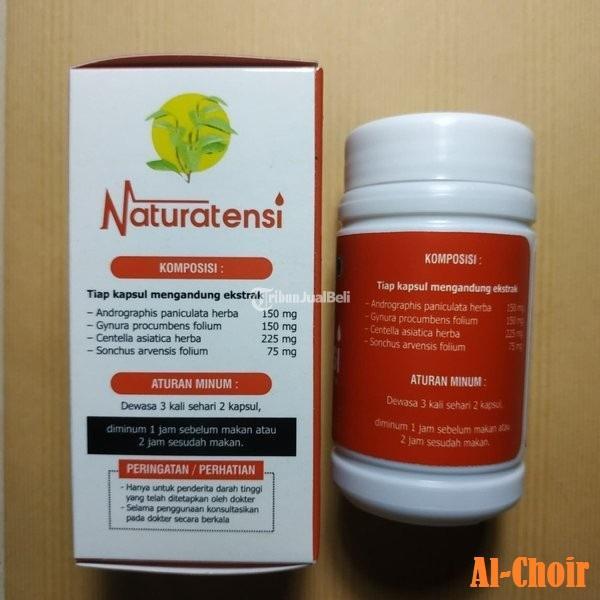 Natura Tensi Obat Tekanan Darah Tinggi Herbal di Karawang - Tribun JualBeli