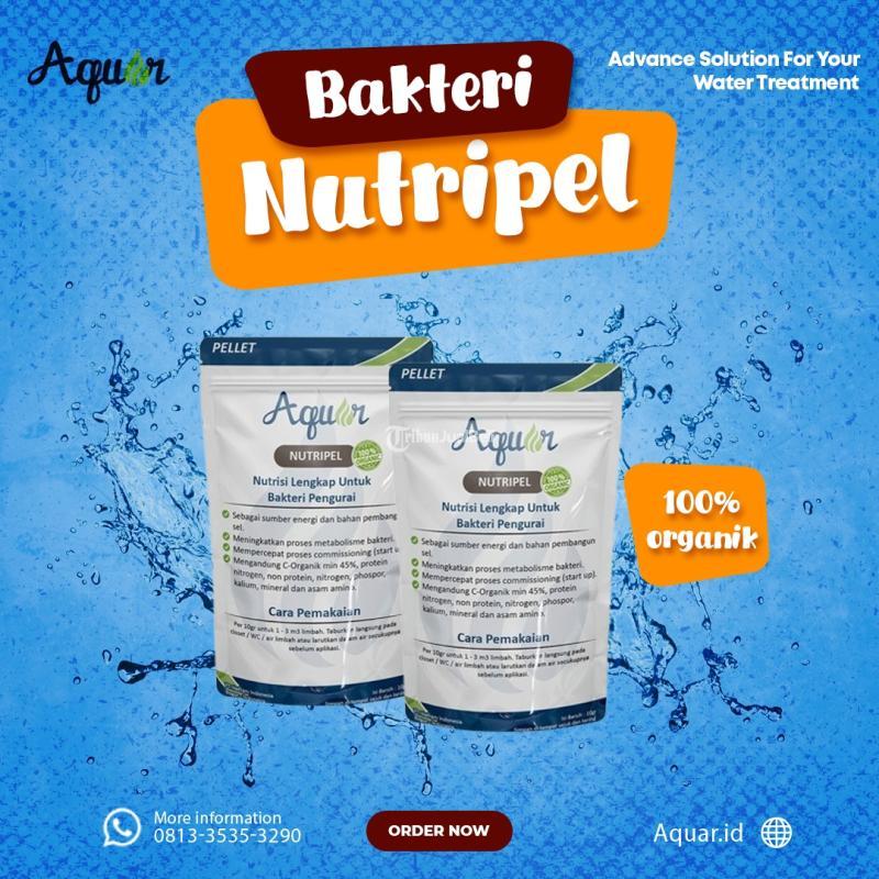 Aquar Bakteri Nutripel Harga Murah di Bogor - Tribun JualBeli