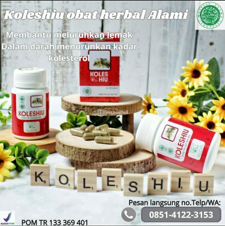 Herbal Kolesterol Alami Halal BPOM di Kendal - Tribun JualBeli