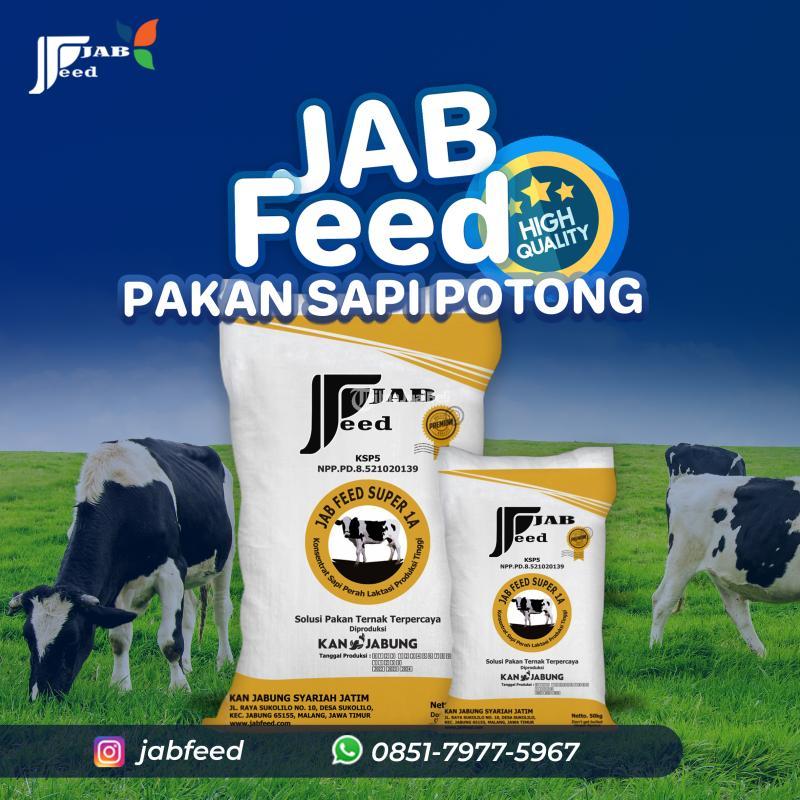 Pakan Sapi Potong di Malang - Tribun JualBeli