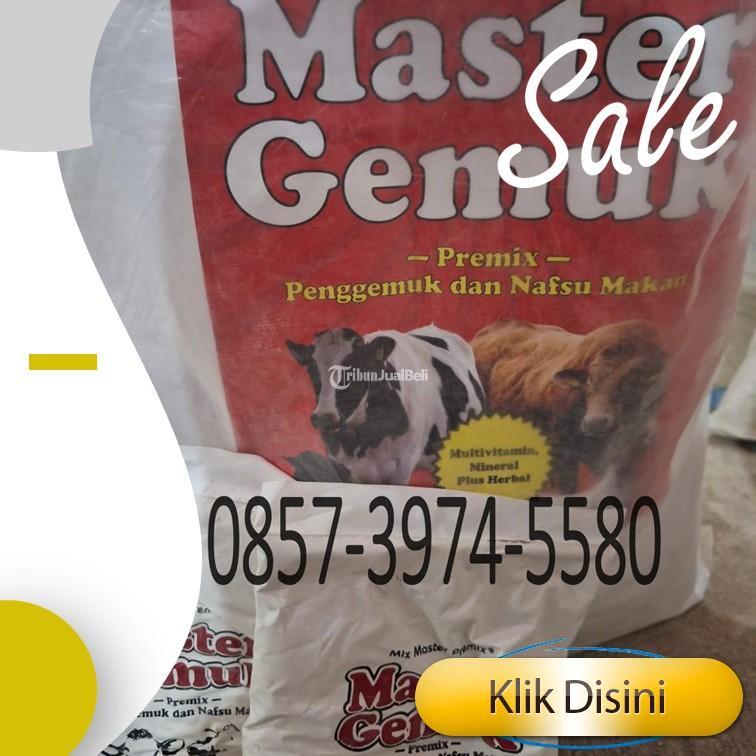 Premix Ternak Sapi Ngasem di Kediri - Tribun JualBeli