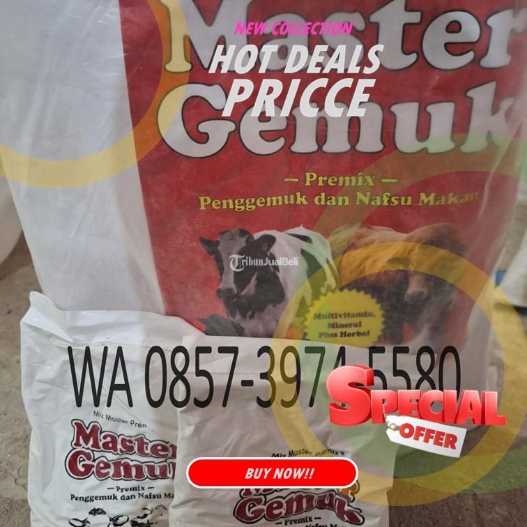 Premix Ternak Sapi Ngasem di Kediri - Tribun JualBeli