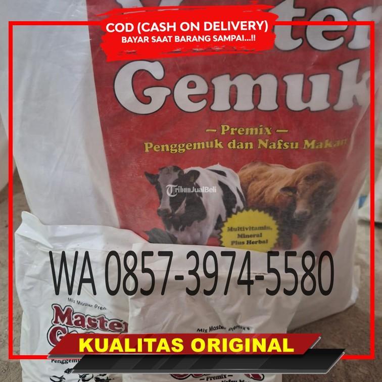 Mineral Premix Untuk Sapi Patrol di Kediri - Tribun JualBeli