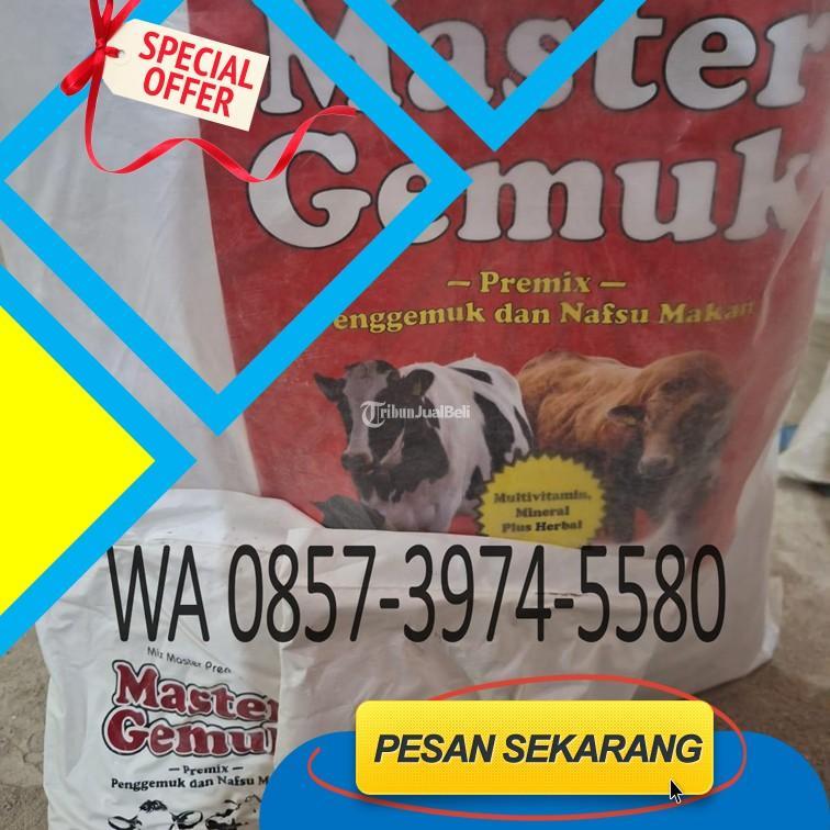 Mineral Premix Untuk Sapi Patrol di Kediri - Tribun JualBeli